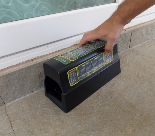 Best Mouse Trap Reviews. Know More How To Catch A Mouse Easily
